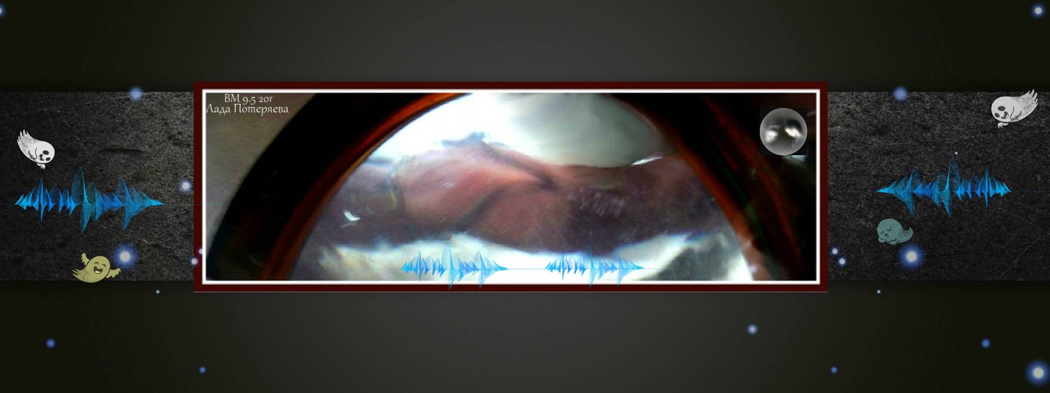 Лада Потеряева. Транскоммуникация. Связь с ТМ.