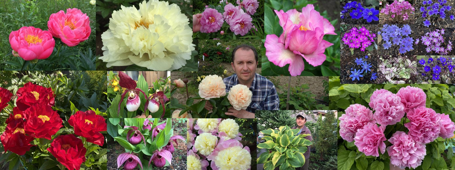 Александр Жуков