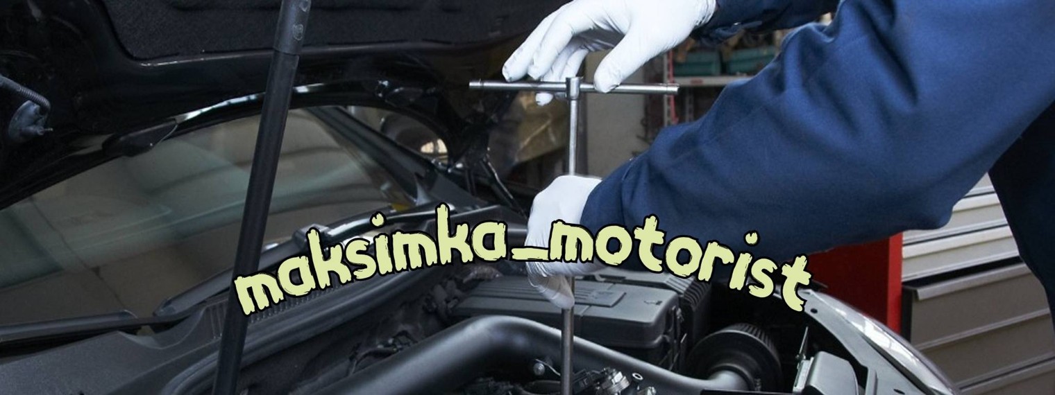 maksimka_motorist