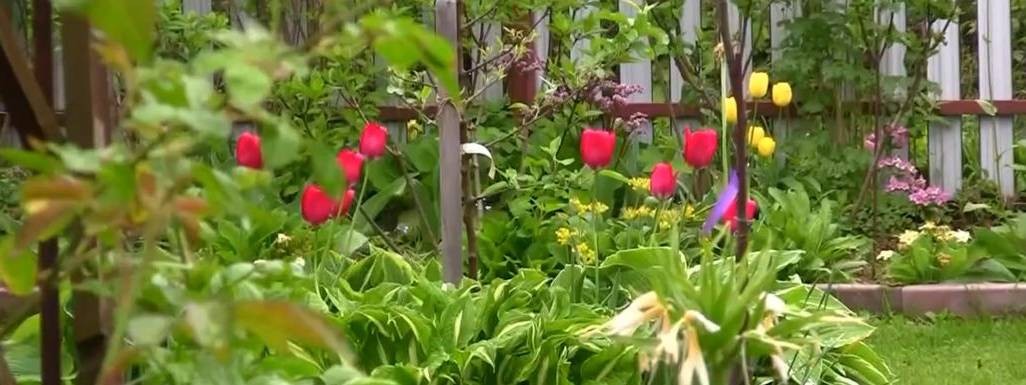 Дмитрий Шлапак