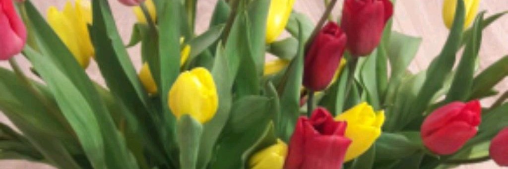 Татьяна Федорова