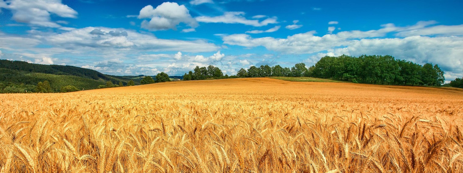 Женщина может всё?