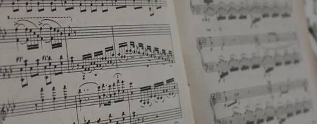 Skripka.evgeniya_spb