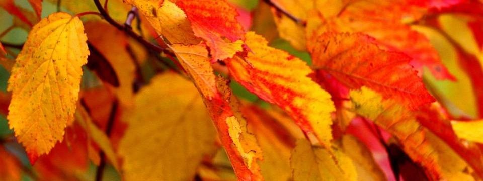 Новинки для Вас!