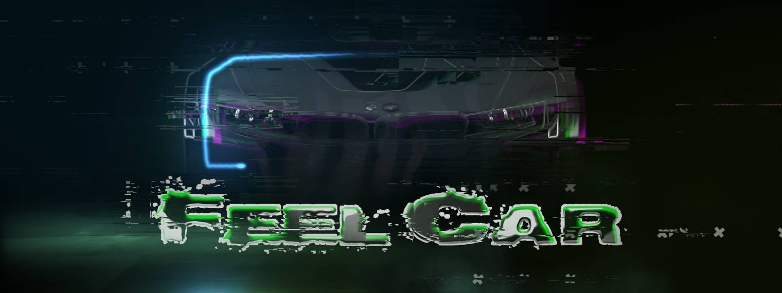 Feel Car