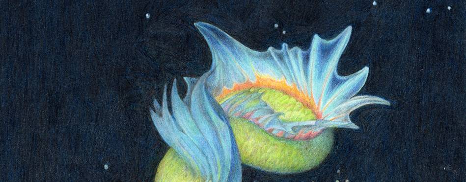 ...0 км до двери в Лето