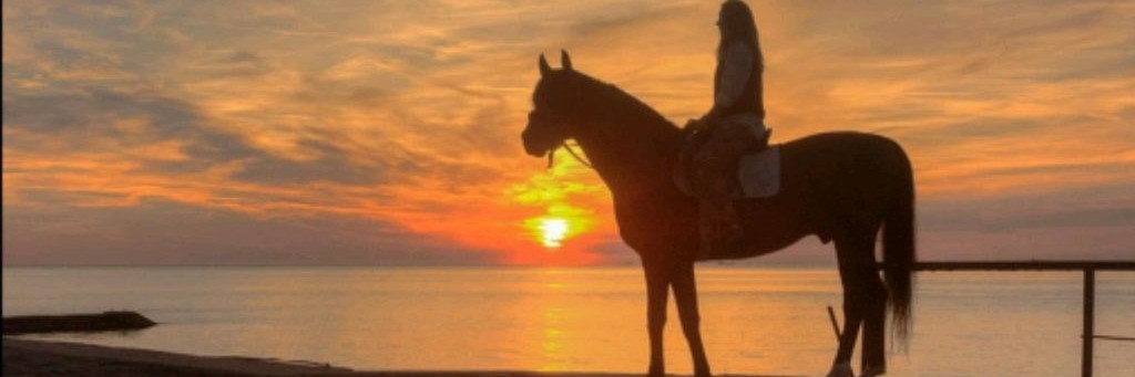 В ПОГОНЕ ЗА УДАЧЕЙ