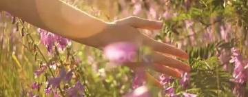 Всё о нашей жизни на Алтае