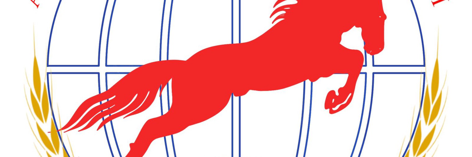 Академия геополитических проблем