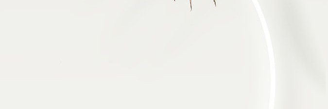 Алекса Гарифуллина