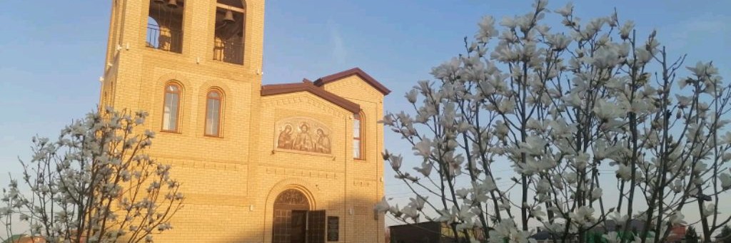 Неувядаемый Цвет