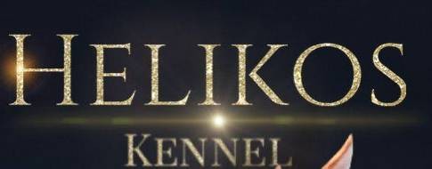 Helikos Kennel