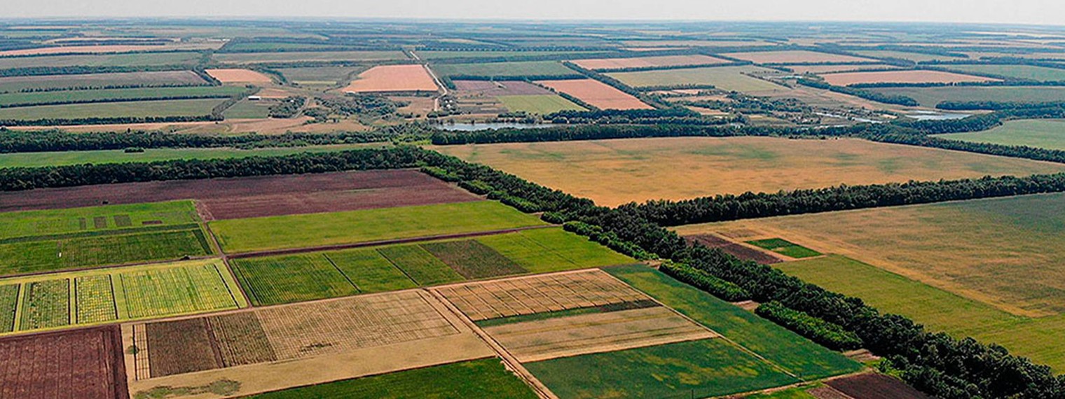 ФНЦ агроэкологии РАН