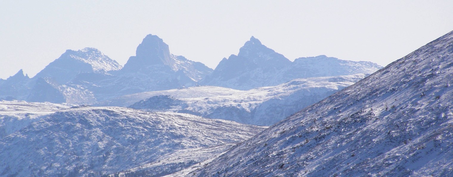 Путешествие длиною в жизнь