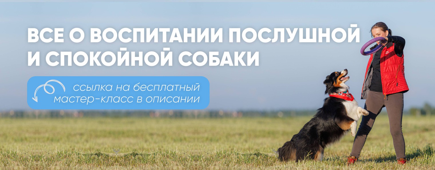 Современный собаковод |  Анна Тимофеева