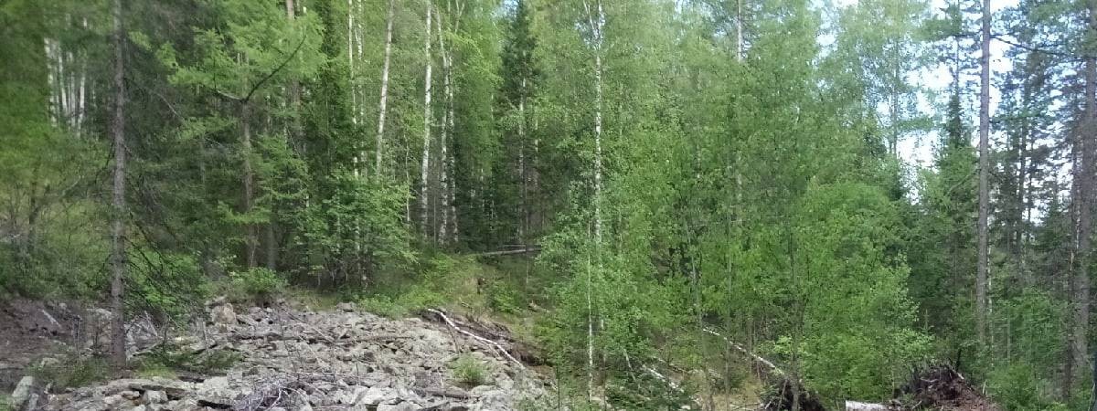 Николай 03 RUS