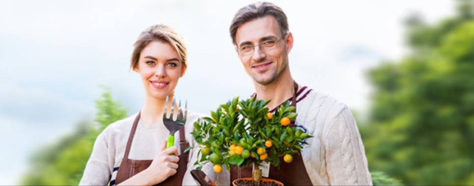 Удобрения Fertika