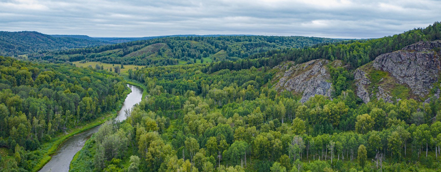 Золото Салаира