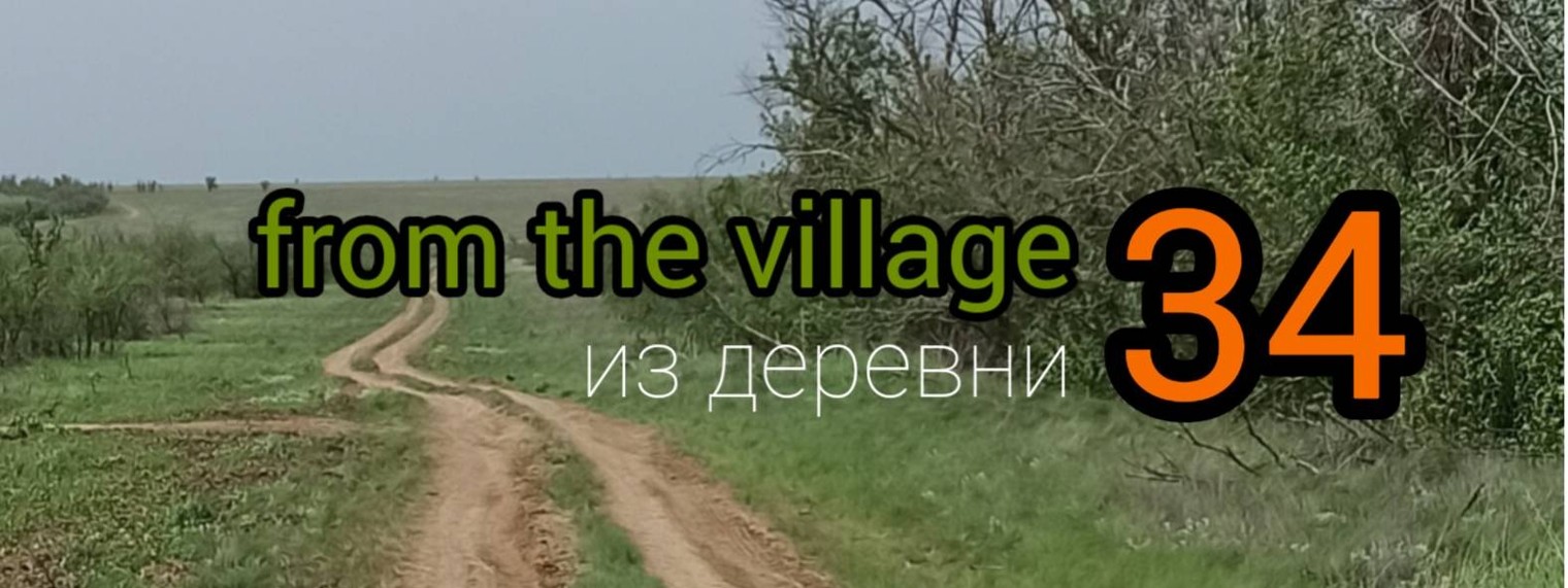 из деревни 34