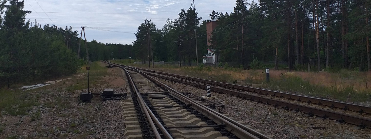 РЖД Ленинградской области