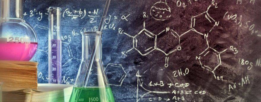 @JuliaShevshenko_him_bio