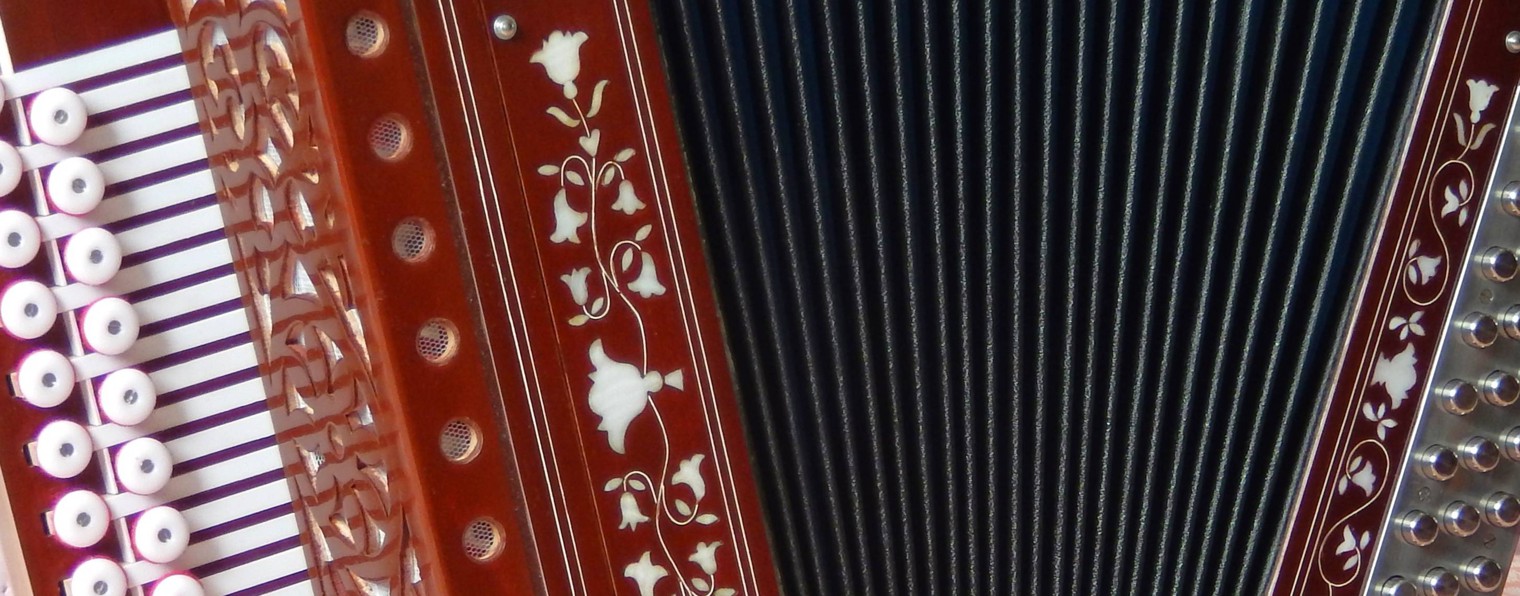 Пой,гармоника!