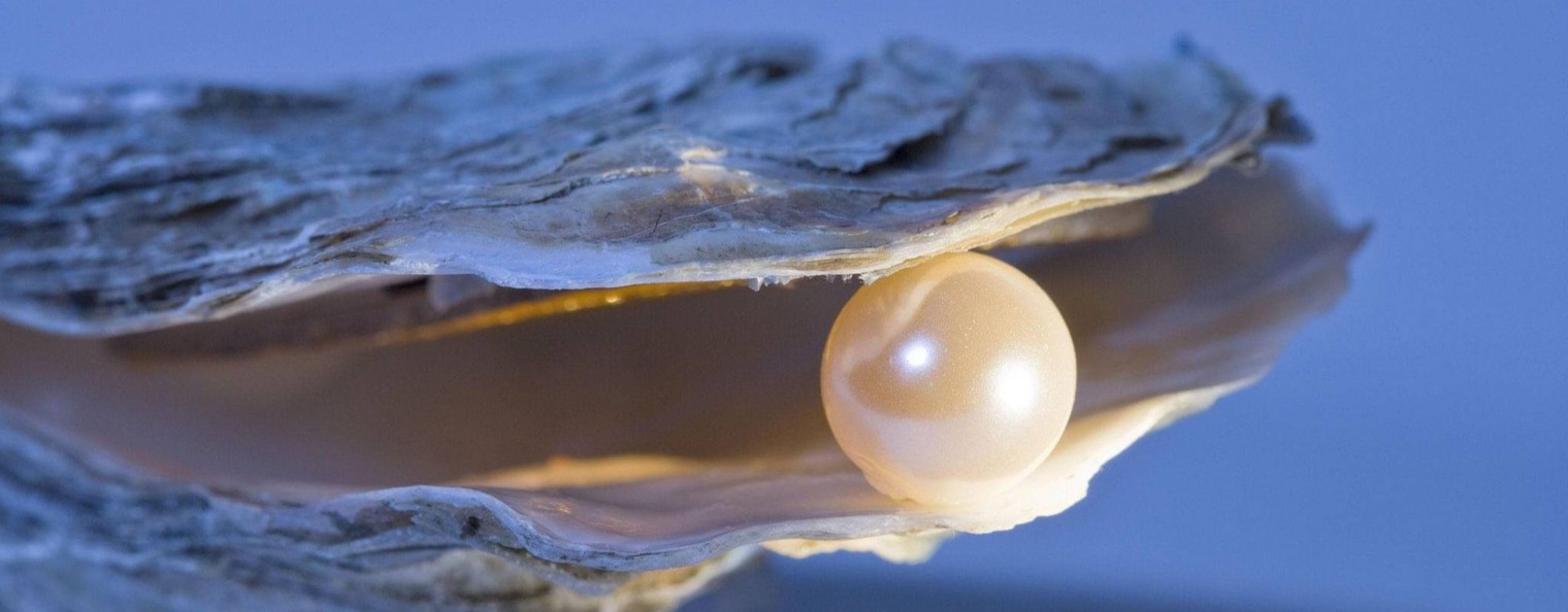 Студия Жемчужина