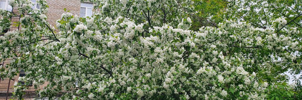 Вадим Данилов