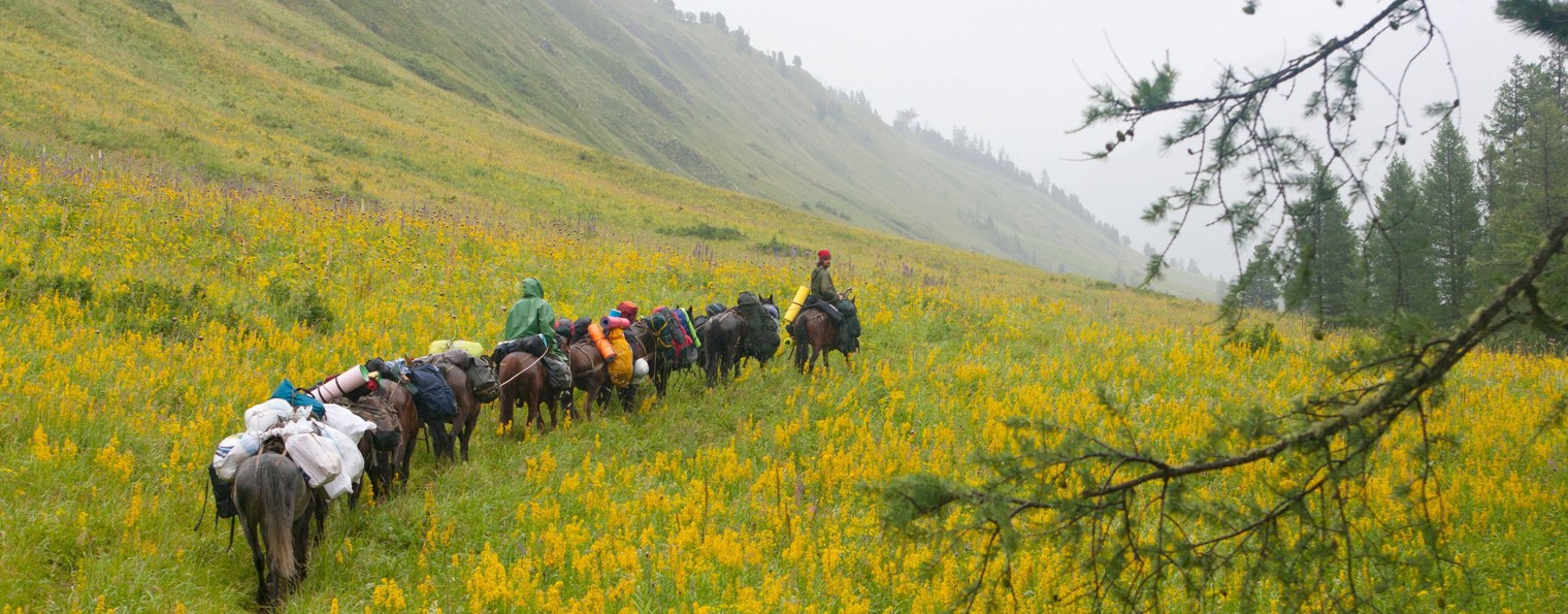Система Вадима Попова • Йога Мастерская