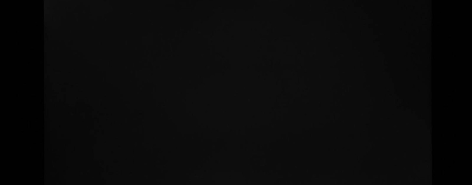 Михаил Лицов