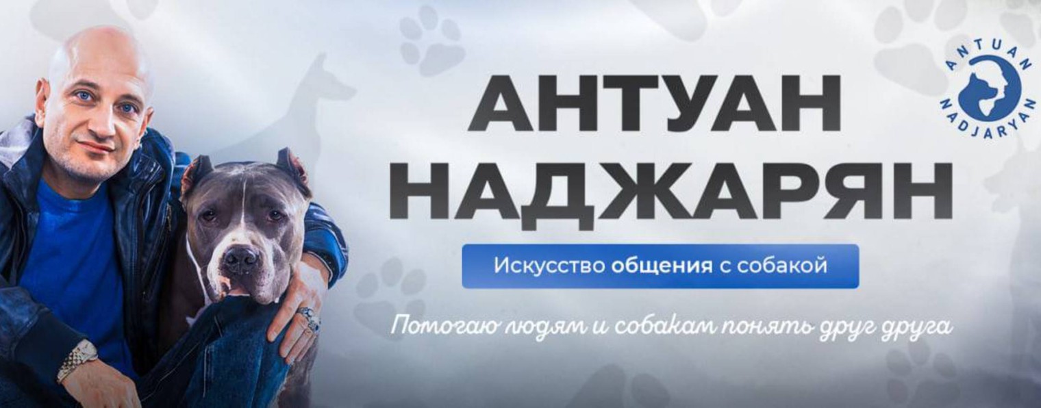 Школа Антуана Наджаряна