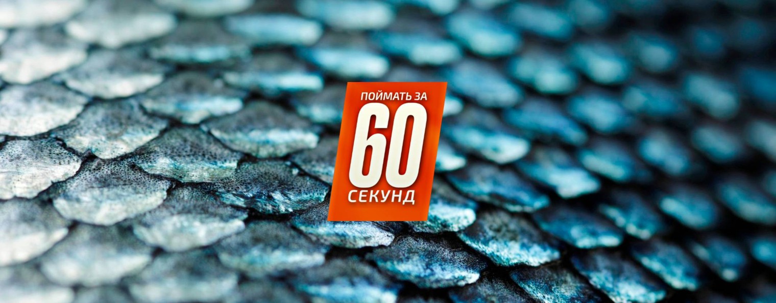 ПОЙМАТЬ ЗА 60 СЕКУНД