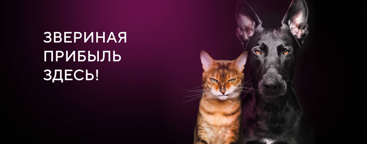 Франшиза | Мокрый нос