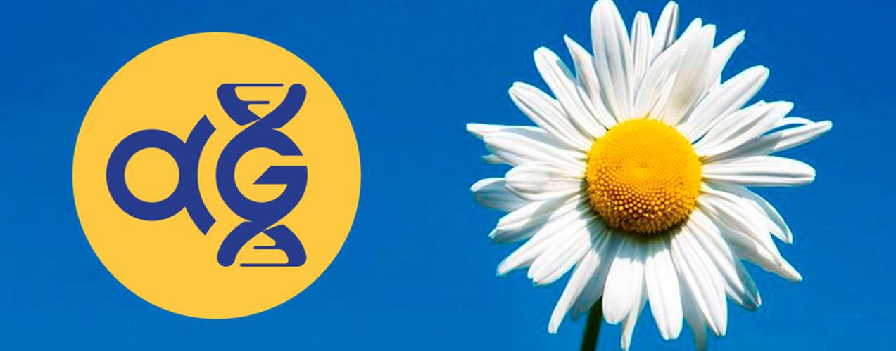 Биохакинг с  Мариной Онисич.