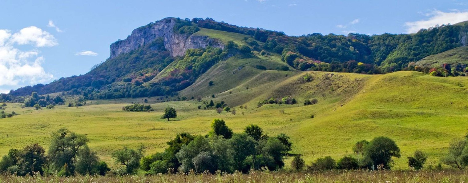 М. Соловьёв