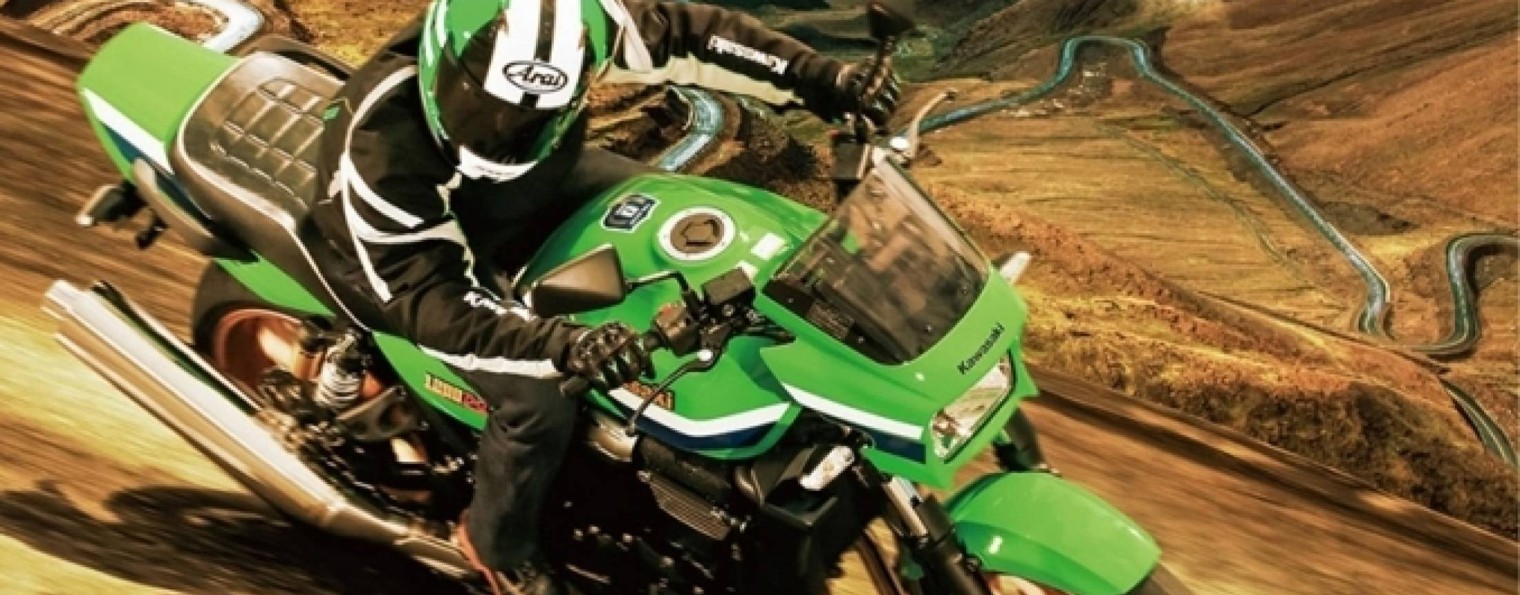 ZRX1200DAEG