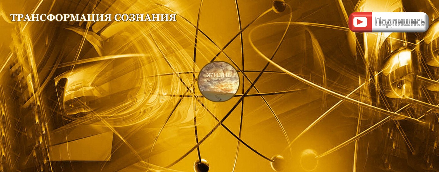 ЖИЗНЬ. Канал Алексея Соколова