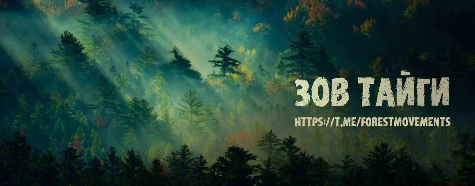 Зов Тайги