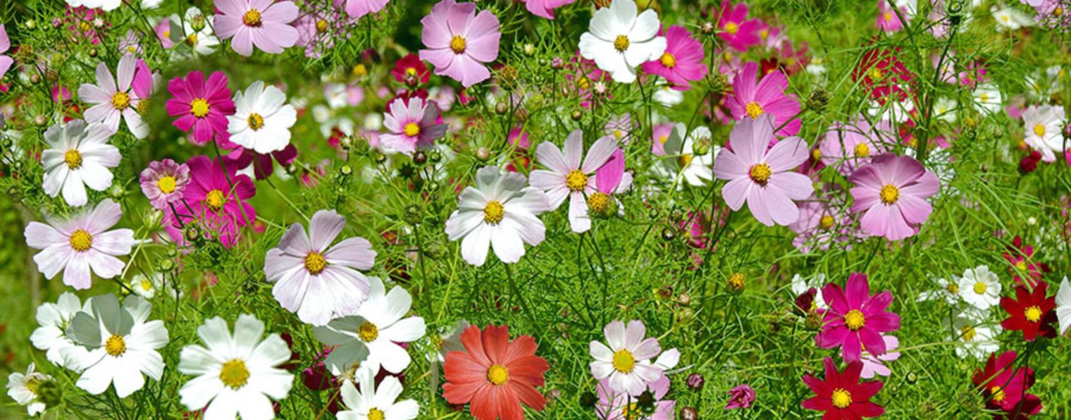 Аркадий - go to: rutube.ru/channel/26633543