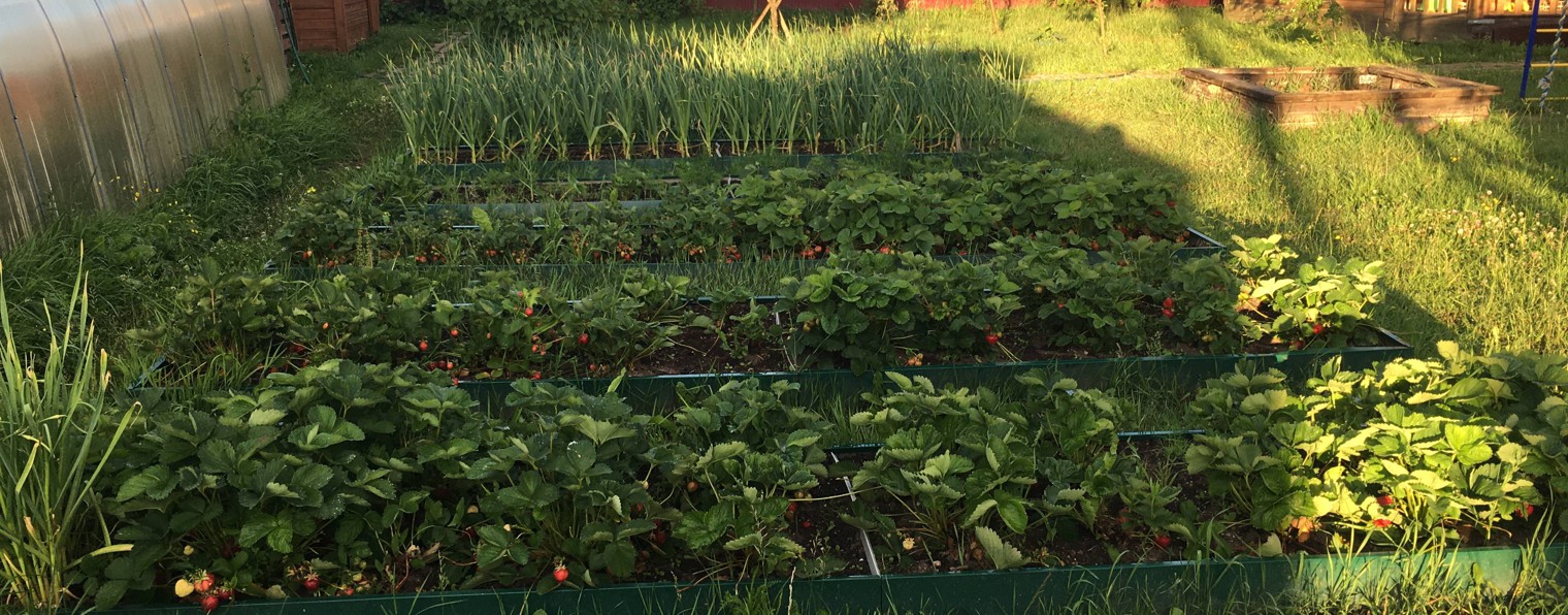 КОЛХОЗНОВАТЫЙ ГОРОЖАНИН