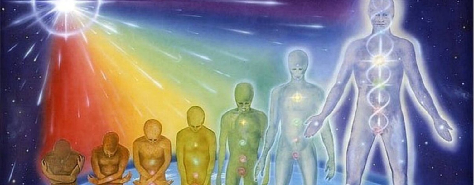 Фалевич PRO Здоровье