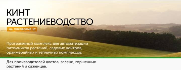 Кинт: Растениеводство