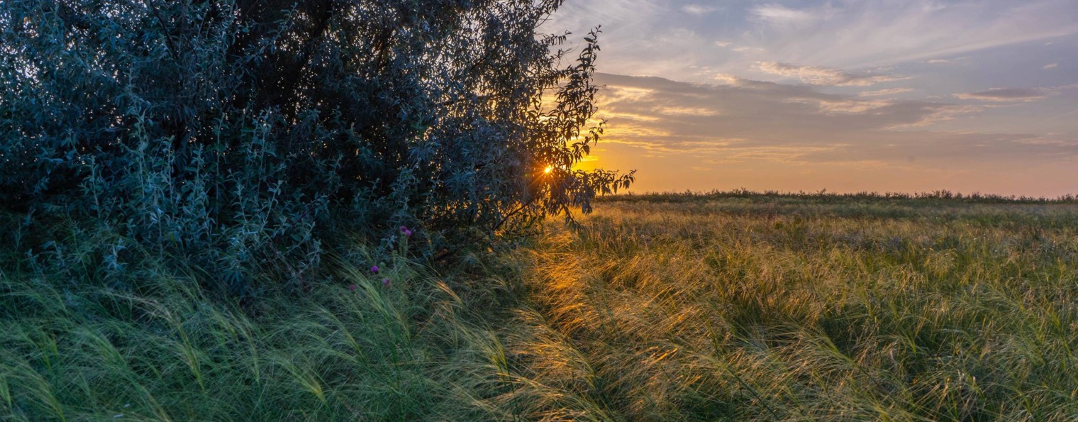 Птицы Кубани