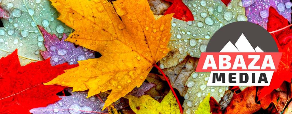 Abaza Media