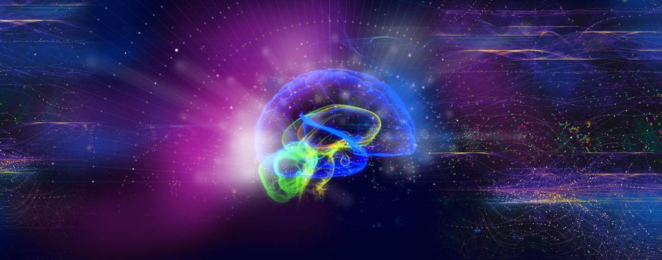 Вячеслав Лебедев | Нейронаука для родителей