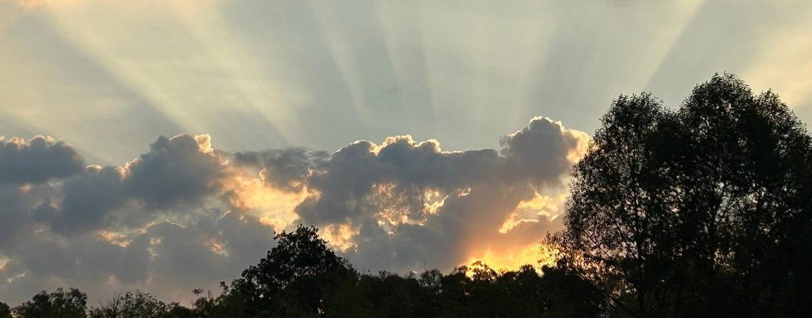 Семья Соколовых