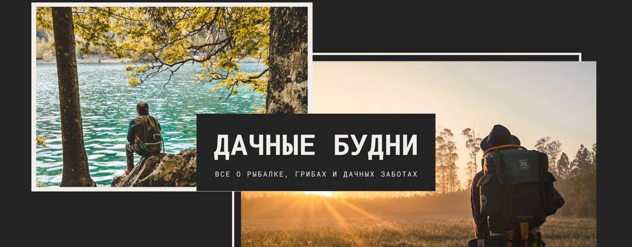 ДАЧНЫЕ БУДНИ