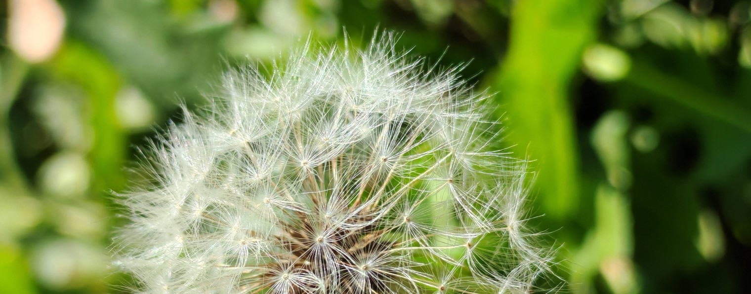 Деревенская эстетика