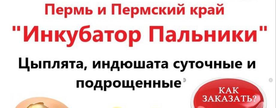 Инкубатор Пальники