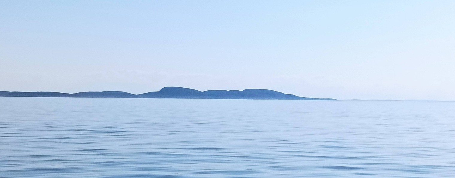 Алла Левитан